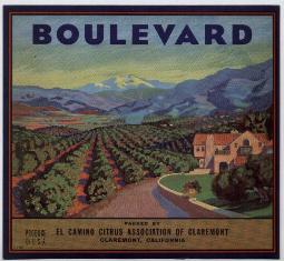 Hollywood History | Art Deco Apartments